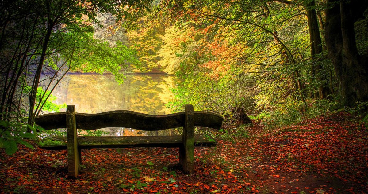 Lacy Funeral Home | Louisa VA Funeral Home